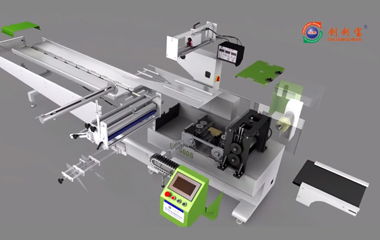 Full Servo Flow Packaging Machine CB-450S/5 00S - Chlbpack